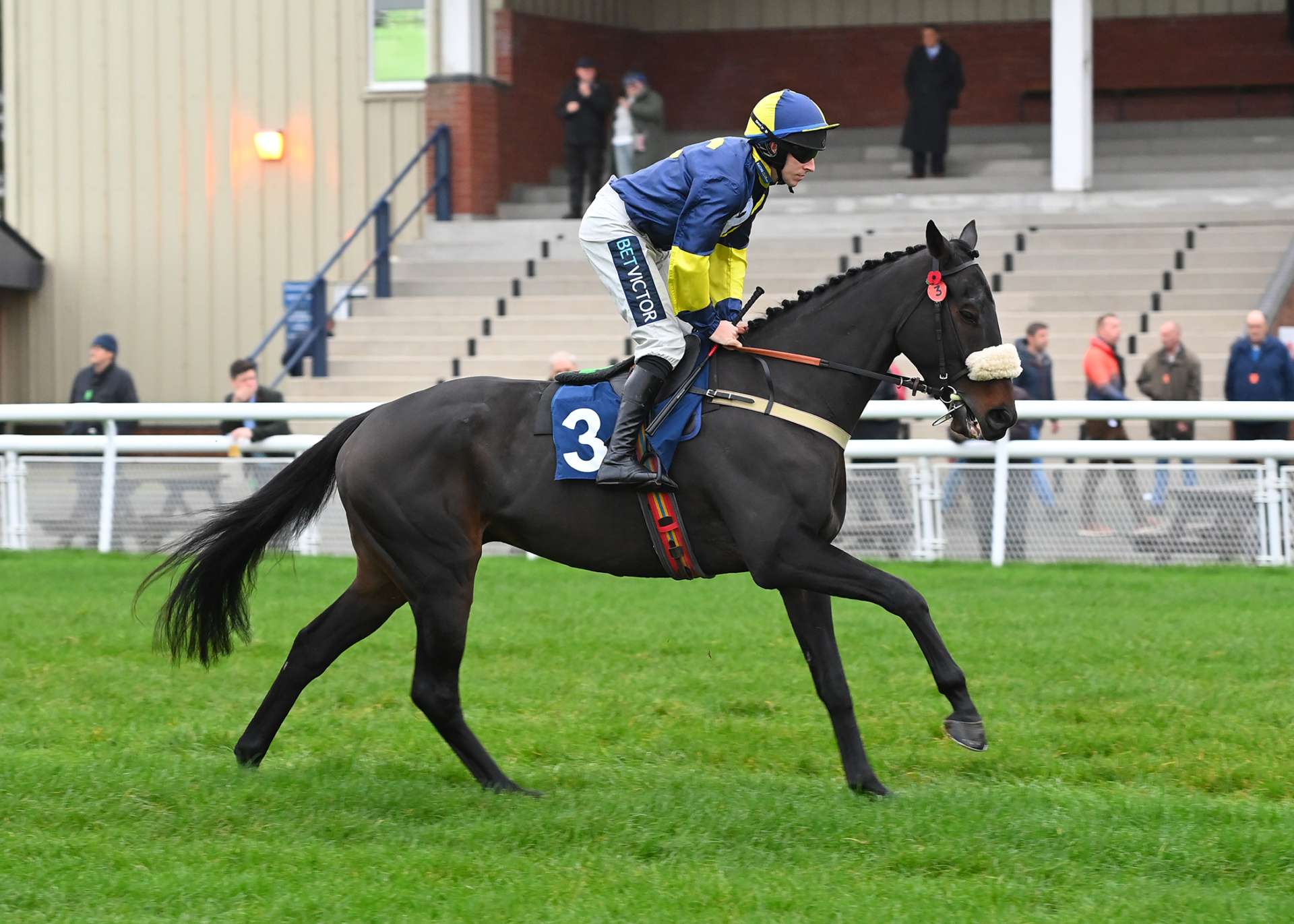 Wendigo | Shares Available at Racing Club