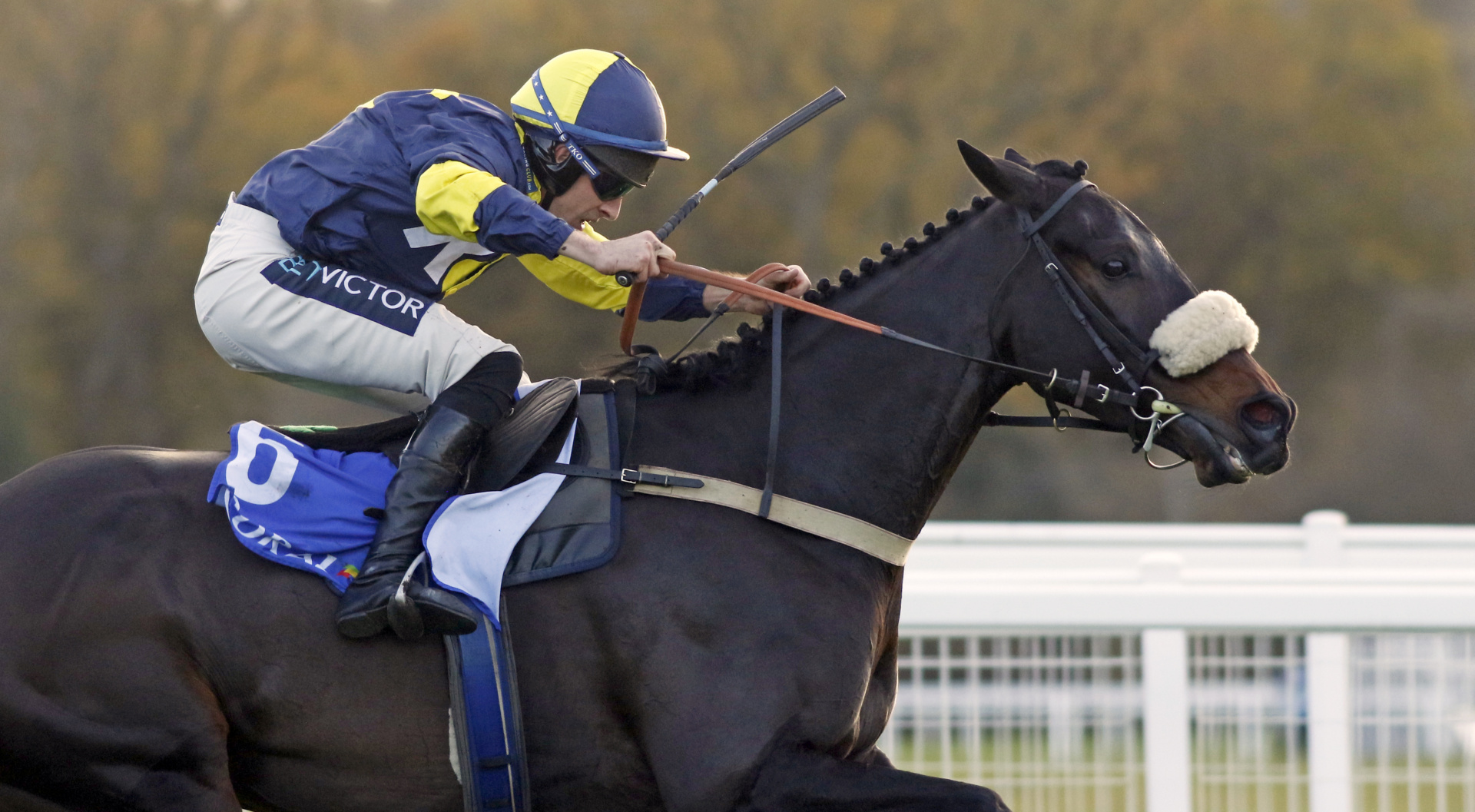 Wendigo | Shares Available at Racing Club