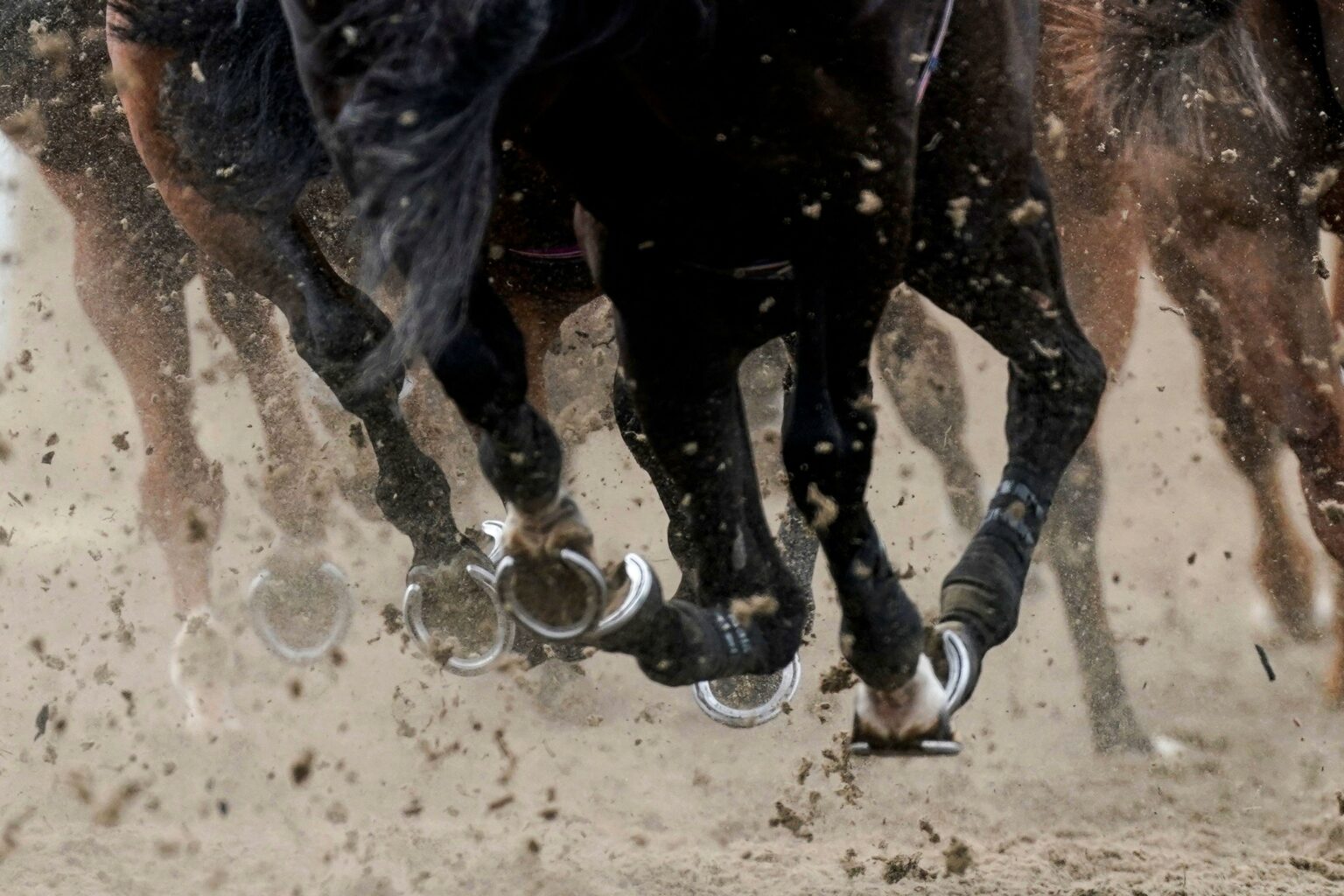 The Importance Of All-Weather Racing - Racing Club