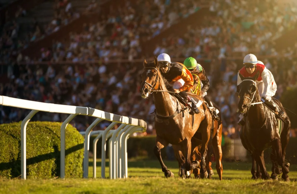 Ascot Racecourse Guide - Racing Club