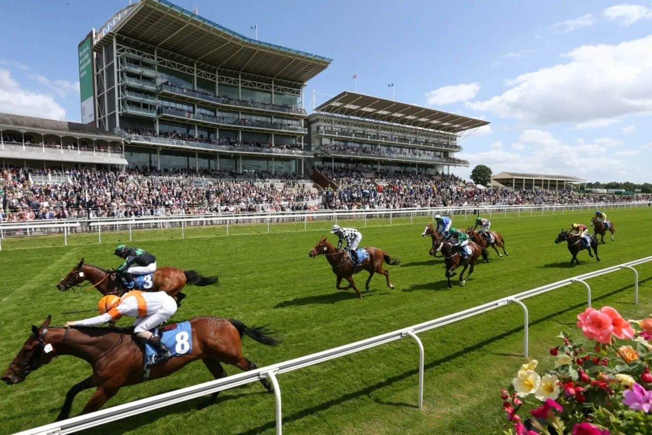 York Racecourse Guide | Racing Club