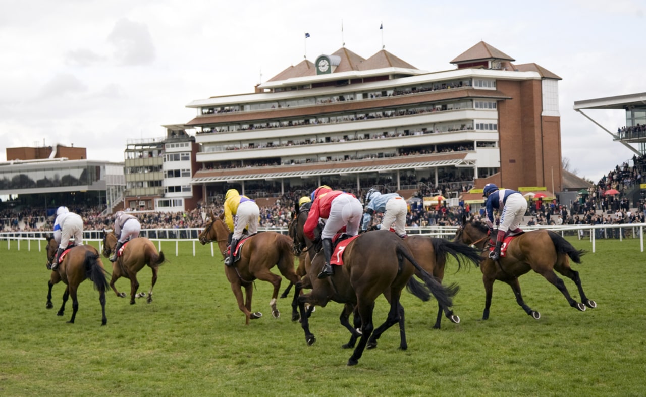 Newbury Racecourse Guide | Horse Racing