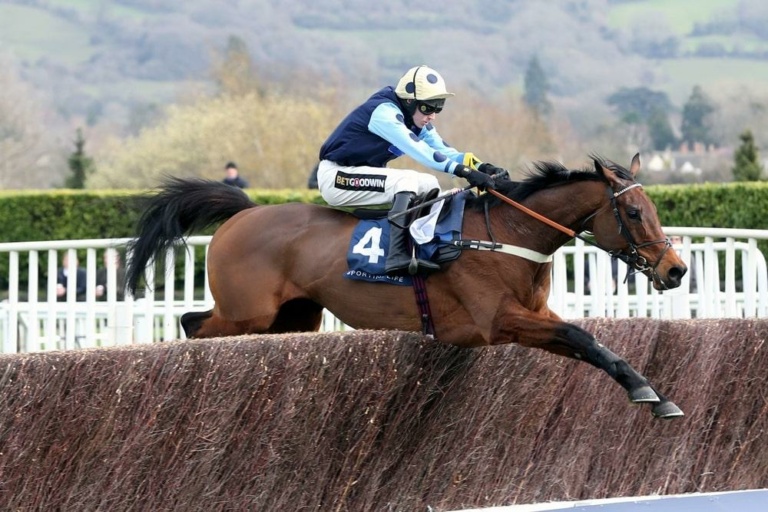 Cheltenham Racecourse Guide | Horse Racing