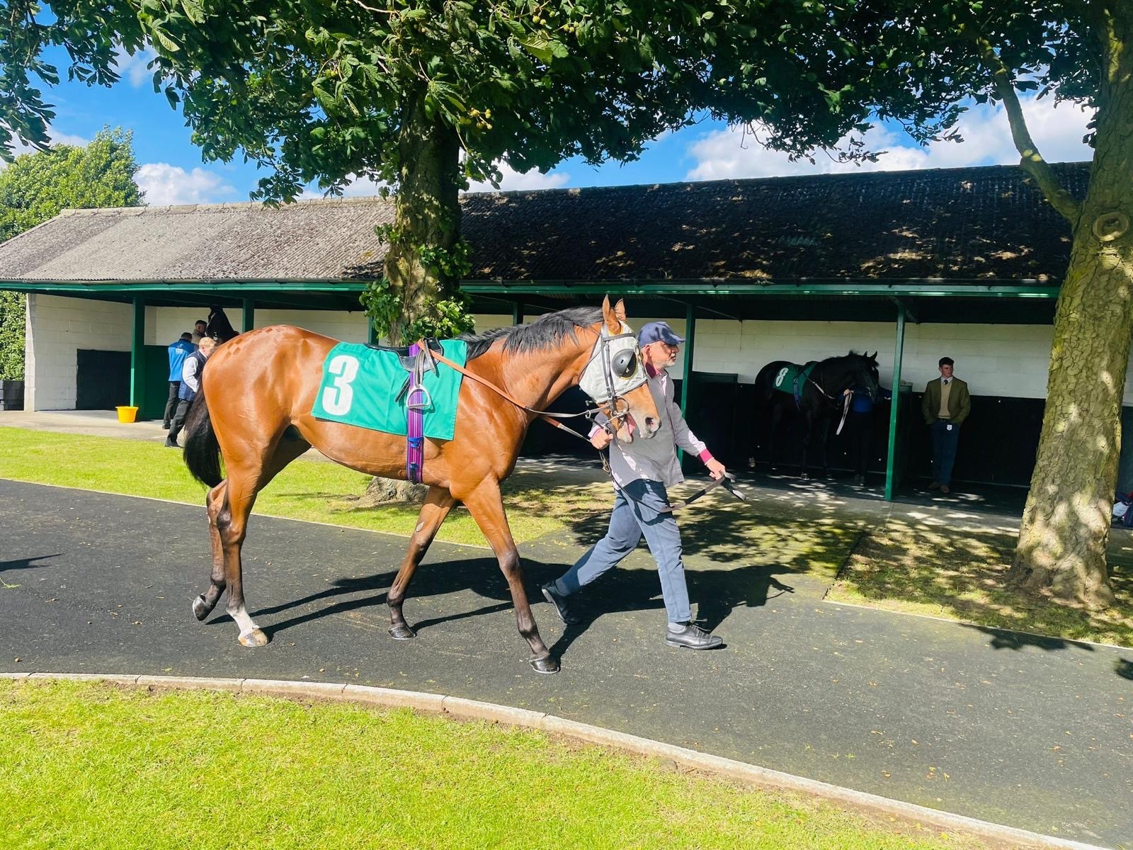 Another Positive Performance From Dunstan At Thirsk - Race Report 16/06 ...