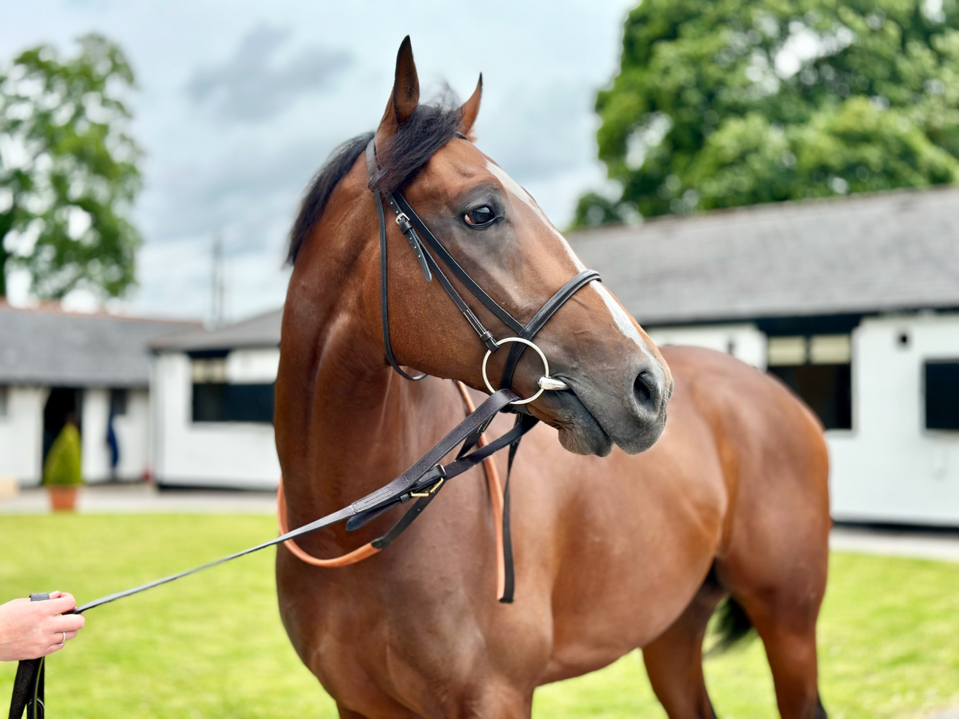 Introducing BLACKWATERFOOT - Racing Club