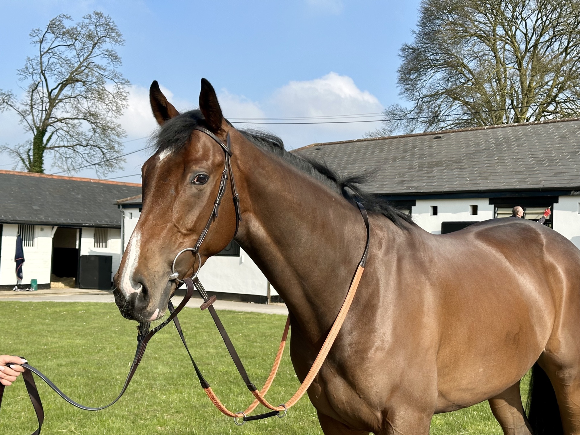 Blue Sky Boy - Racing Club