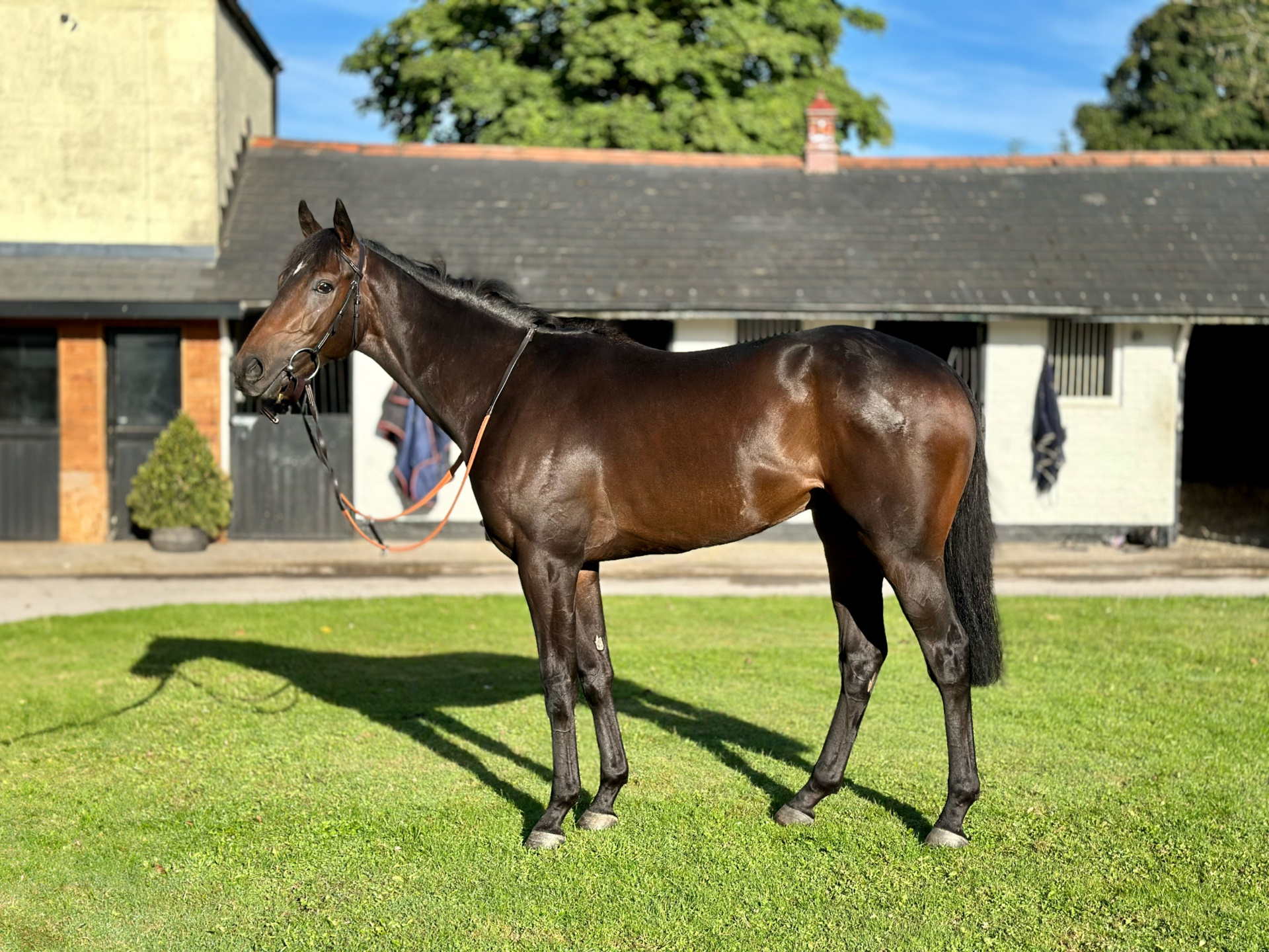 Unknown Journey - Racing Club