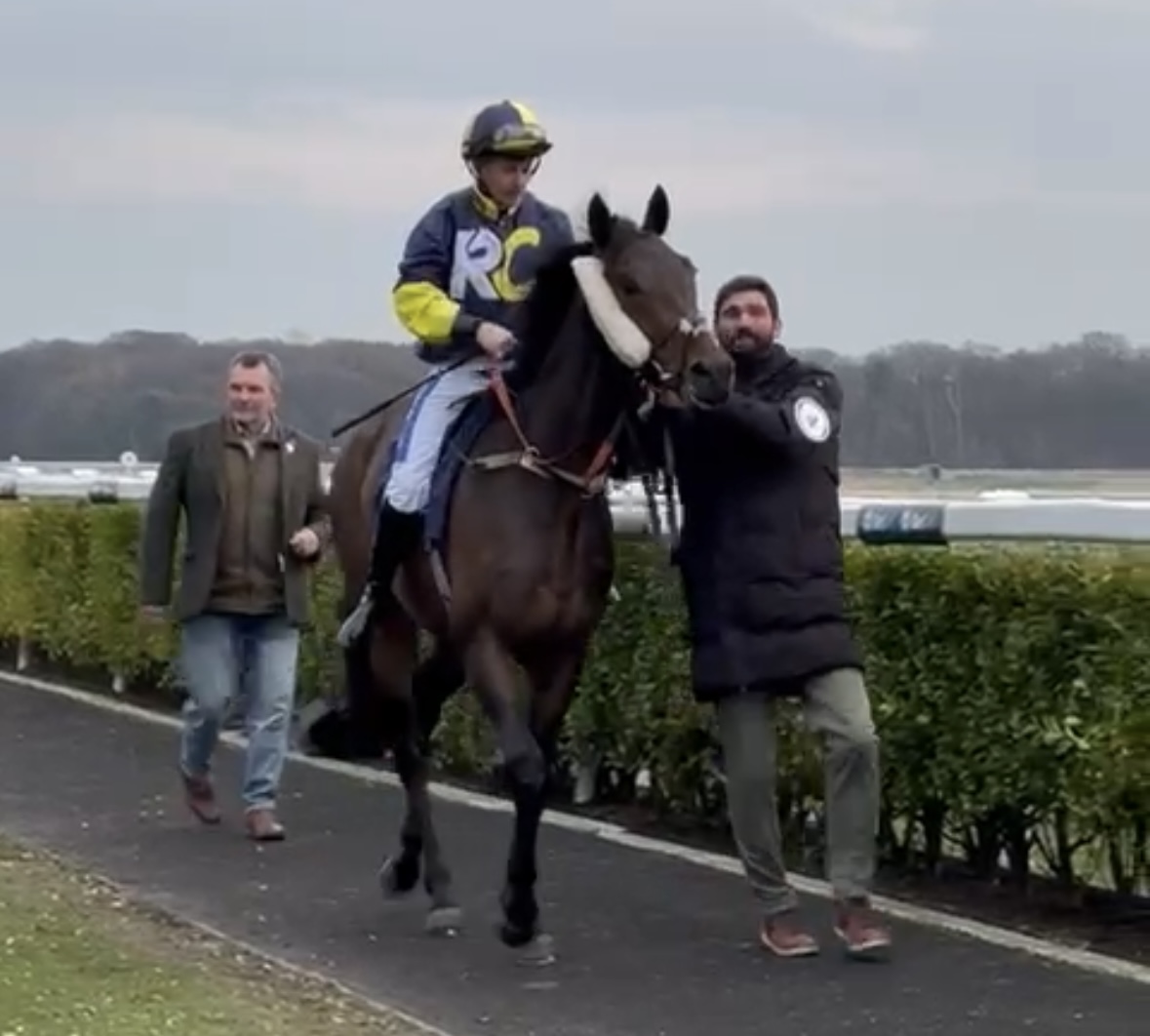 Solid Effort From Brodie's Boy To Finish Runner-Up At Newcastle - Race ...