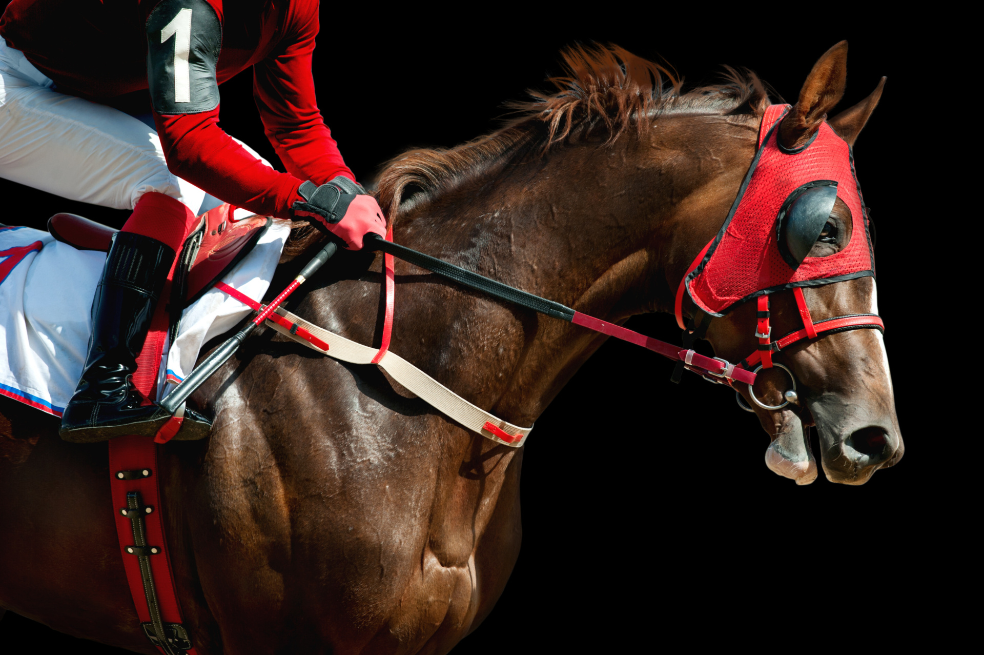 How Much Do Racehorses Weigh? | Racing Club