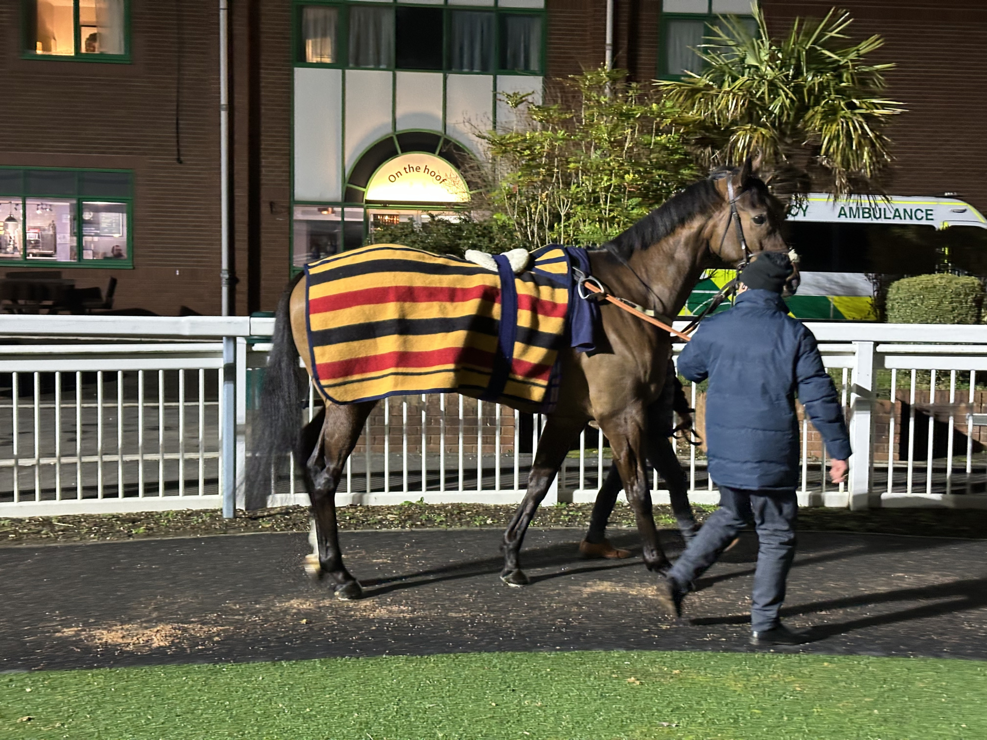 Blue Sky Boy Impresses To Place At Wolverhampton - Race Report - Racing ...