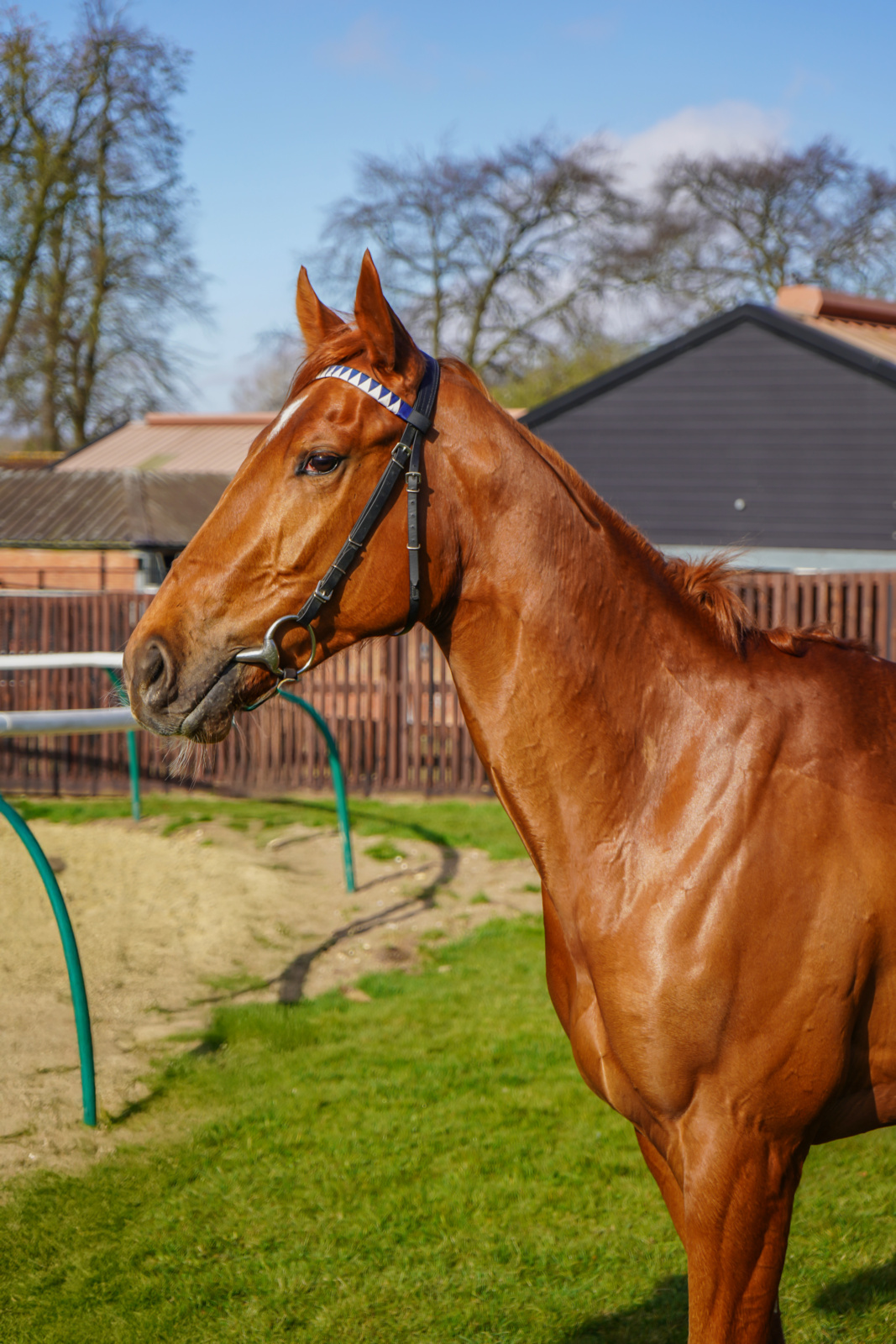 Bosh Soldier - Racing Club