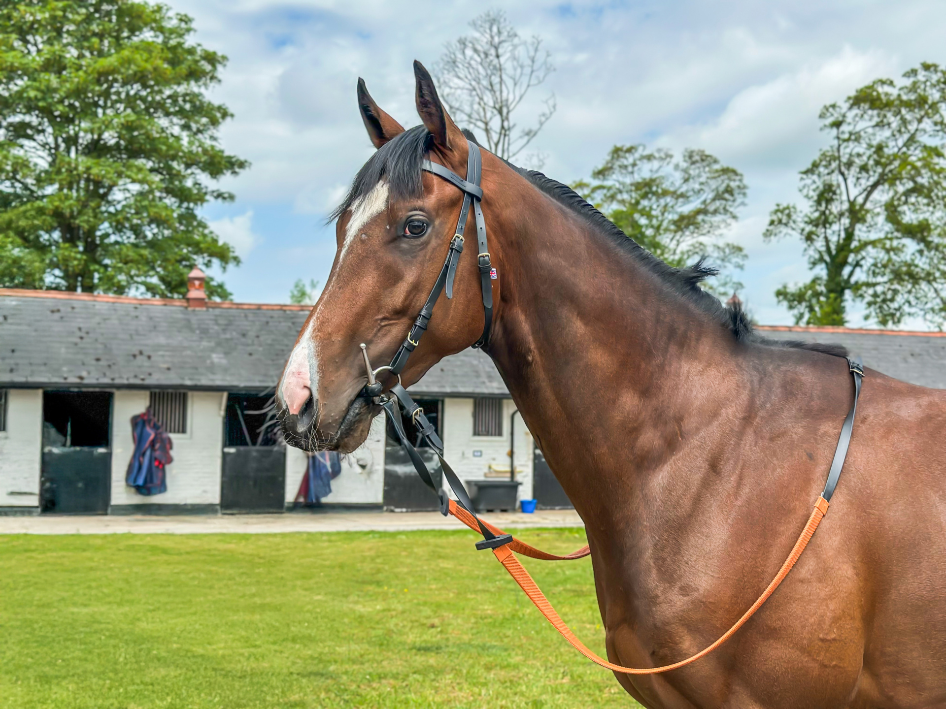 Lord d'Or - Racing Club