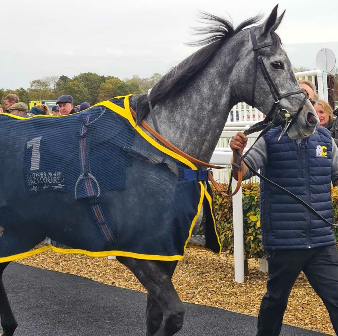 A Path To Ronda Wins Impressively On Hurdles Debut - Race Report ...