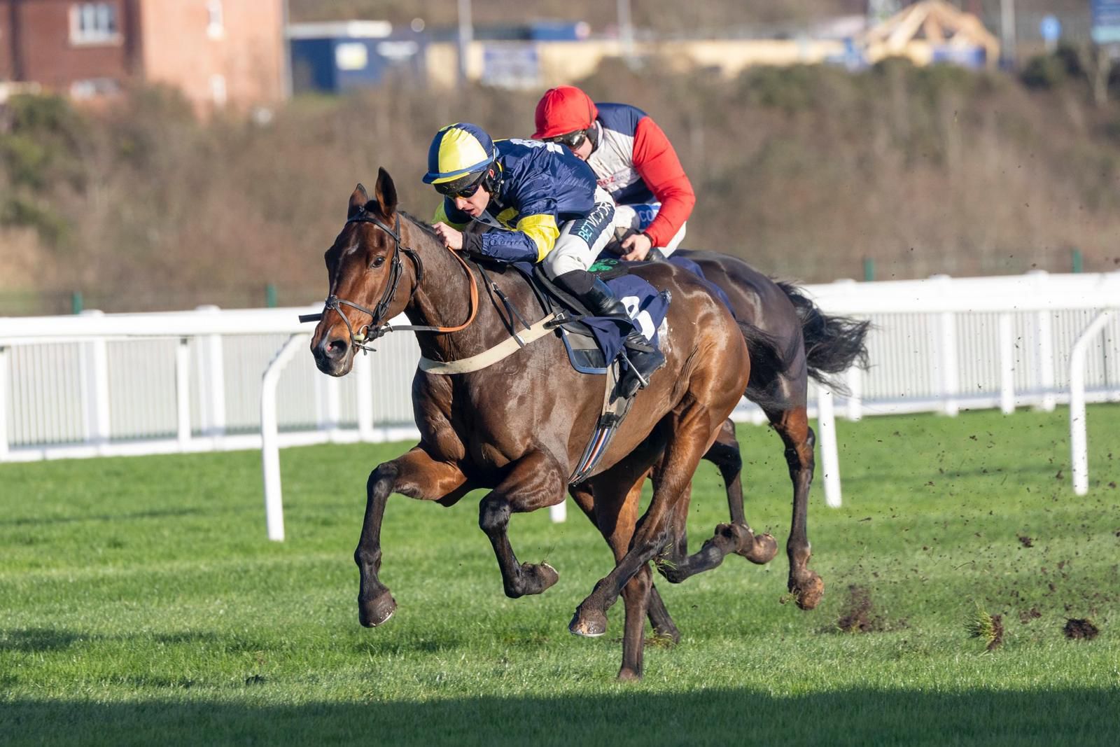 Legendary Luke | Shares Available at Racing Club