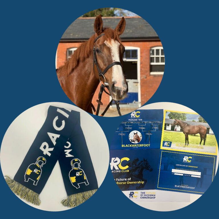 Pigeon Forge Bundle - Racing Club