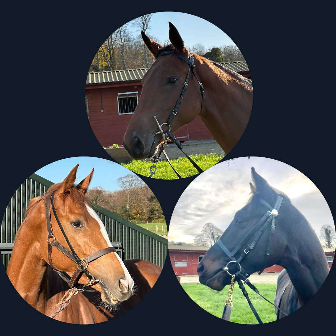 VIP Trio Package - Racing Club