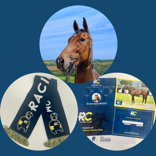 Jukebox King Bundle - Racing Club