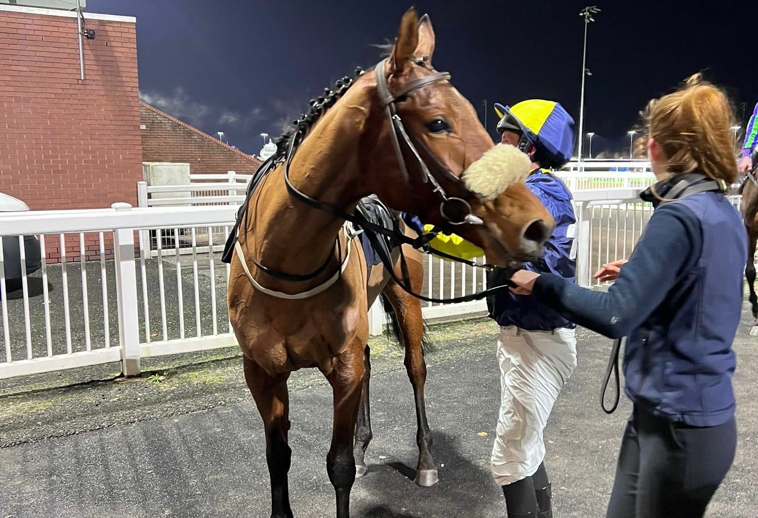 Magic Runner Delivers Another Creditable Effort At Wolverhampton - Race ...