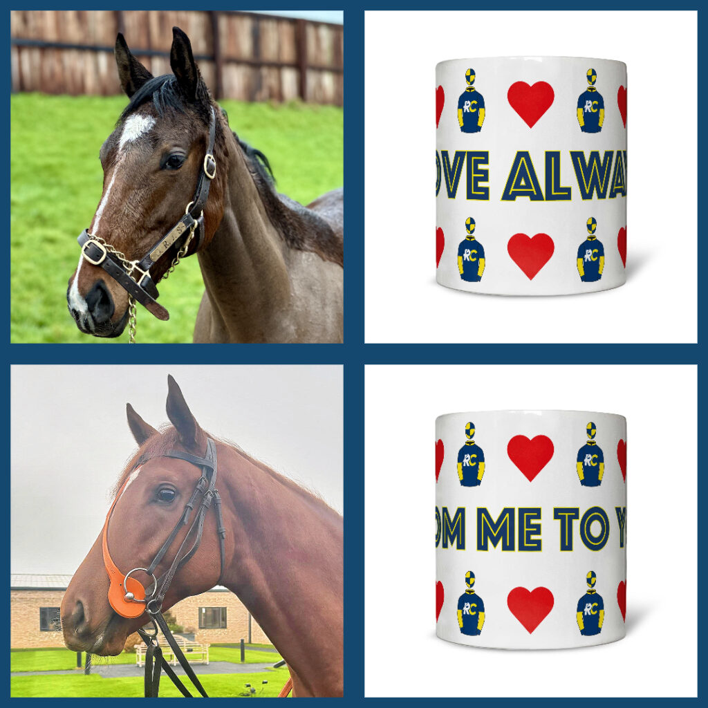 Hearts And Hooves Bundle - Racing Club