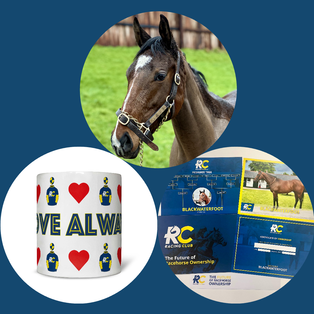 Horse Packages - Racing Club